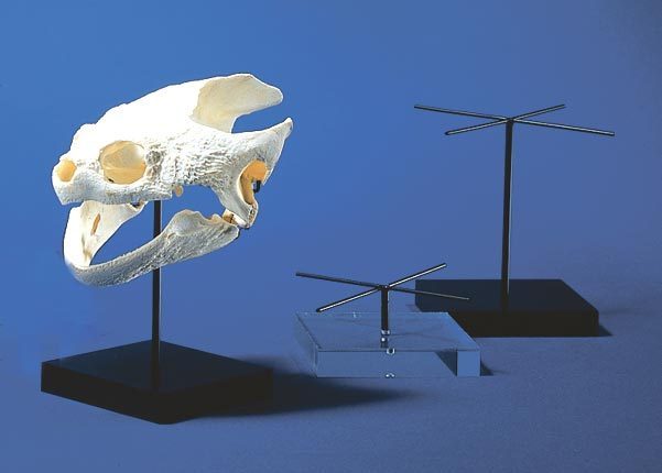 Stock and custom mount displays for your art, artifacts and collectibles